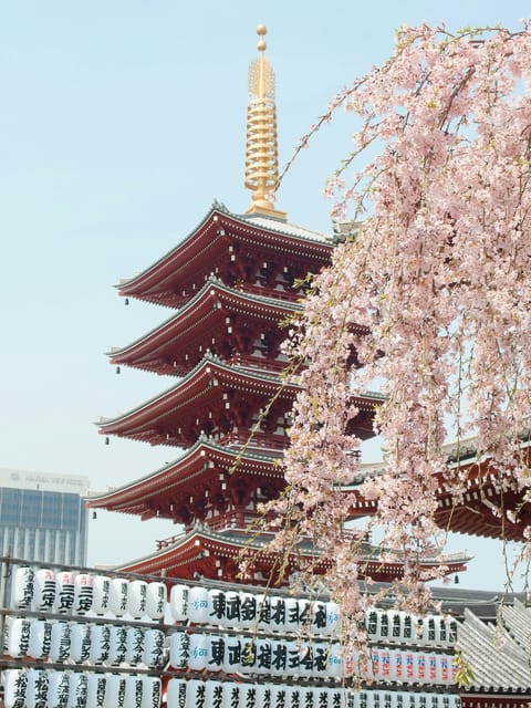 Kyoto Visiting Tour - Important Information