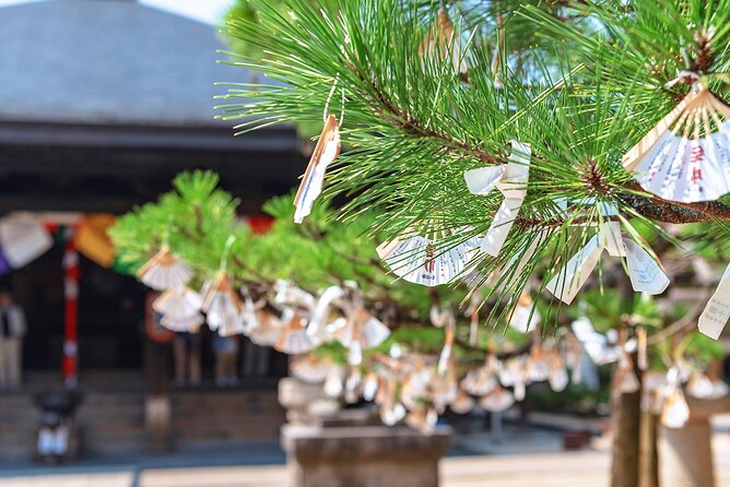 Kyotos Coast Amanohashidate and Ine Boathouse Full-Day Tour - Ine Boathouse Boat Tour