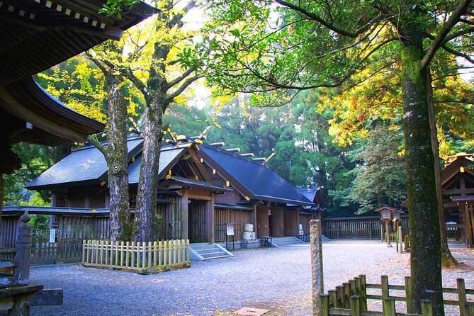 Kyushu Tour of Shrines Sakura Gorges and Landmarks From Fukuoka - Tour Experience and Recommendations