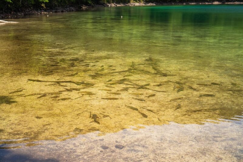 Lake Tachibana: Hike to a Hidden Lake! - Transportation and Pick-up Details