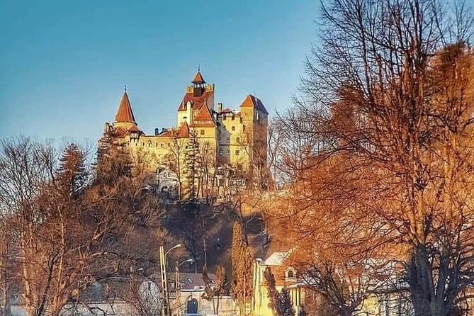 Libearty Brown Bear Sanctuary, Rasnov Fortress, Bran Castle Day Tour From Brasov - Rasnov Citadel