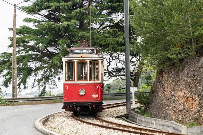Lisbon: Sintra, Pena Palace, Cabo Da Roca Coast and Cascais 8h - Tour Inclusions: Comfort and Services Provided