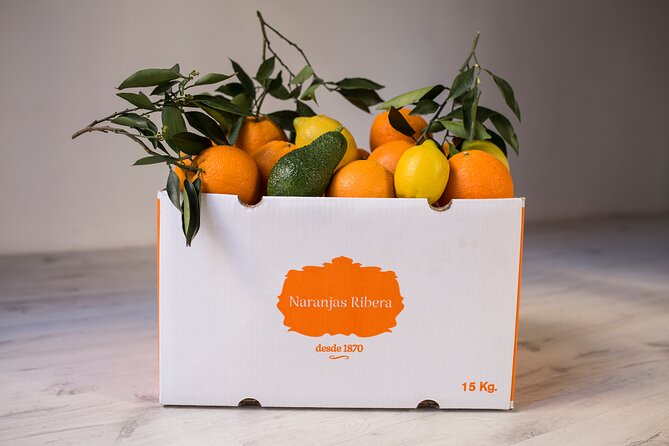 Live an Experience Among Orange Trees in Huerto Ribera - Booking Information