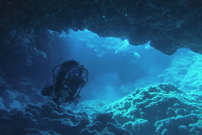 Local Guided Dives (For Certified/Licensed Divers) - Meeting and Pickup