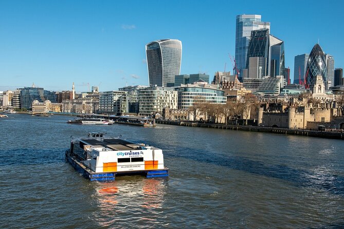 London: Harry Potter Walk, Hop-on Hop-off Bus Tour and Cruise - Accessibility and Participation
