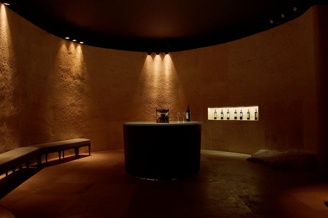Luxurious Full Day Bordeaux Wine Tour in a Tesla - Pricing and Booking Information