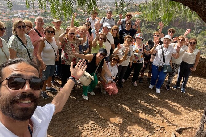 Madeira Essence Half Day Tour for Cruises - Traveler Reviews and Feedback