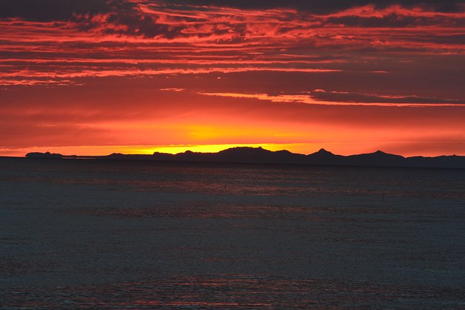 Magical Whales in the Midnight Sun | From Reykjavik - Bundling Up for Chilly Nights