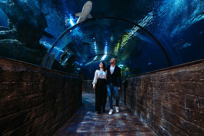 Malta National Aquarium Entrance Ticket - Accessibility Options