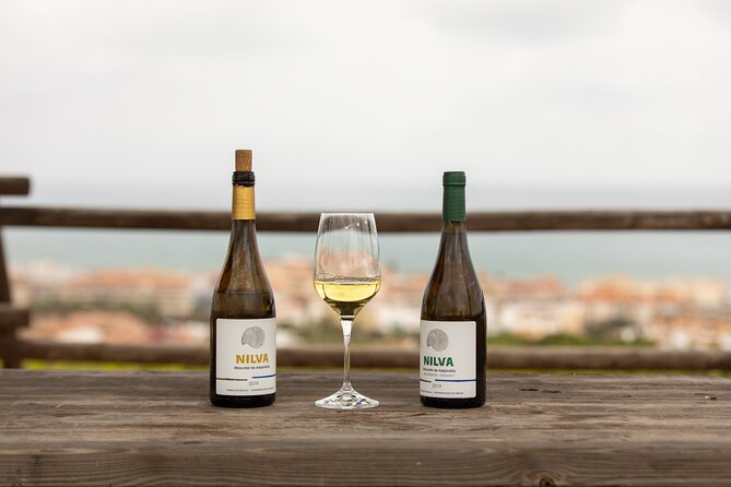 Manilva Oceanfront Wine Experience in the Marbella Area - Commitment to Sustainable Practices and Local Vineyards