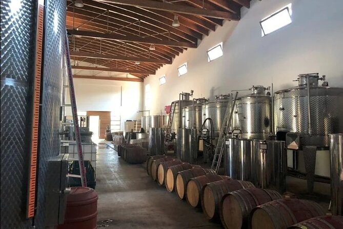 Manousakis Winery Shuttle Service Tour and Taste - Guest Feedback and Experience Highlights
