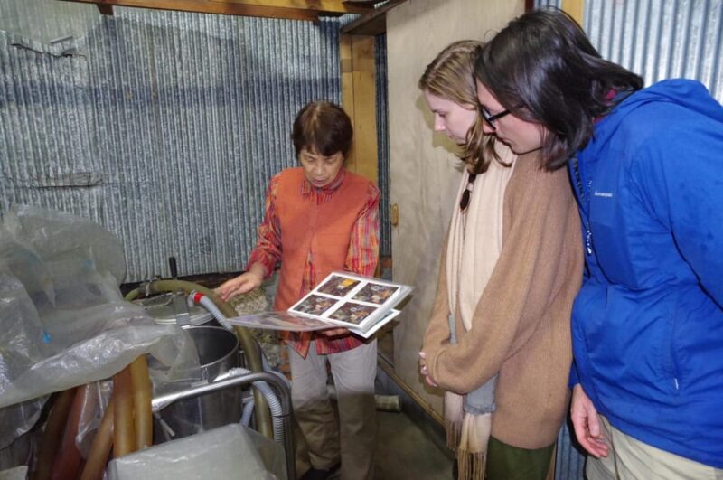Matsumoto Castle, Sake & Food Walking Tour in Nagano - Tour Features and Inclusions