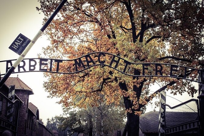 Memorial and Museum Auschwitz-Birkenau Tour & Krakow Transfer - Post-Tour Reflections