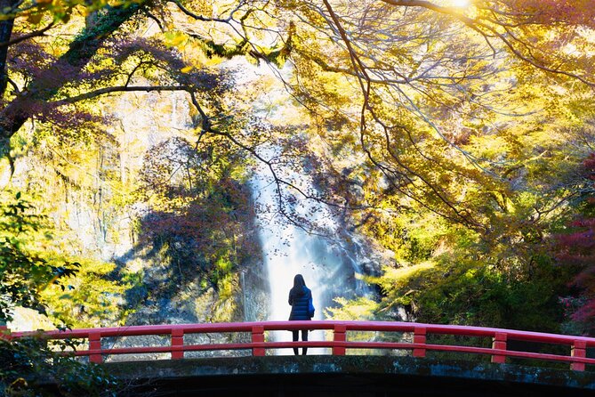 Minoo Park Adventure: Nature, Temples, and Coffee Bliss - Savoring the Culinary Delights of Minoos Local Eateries