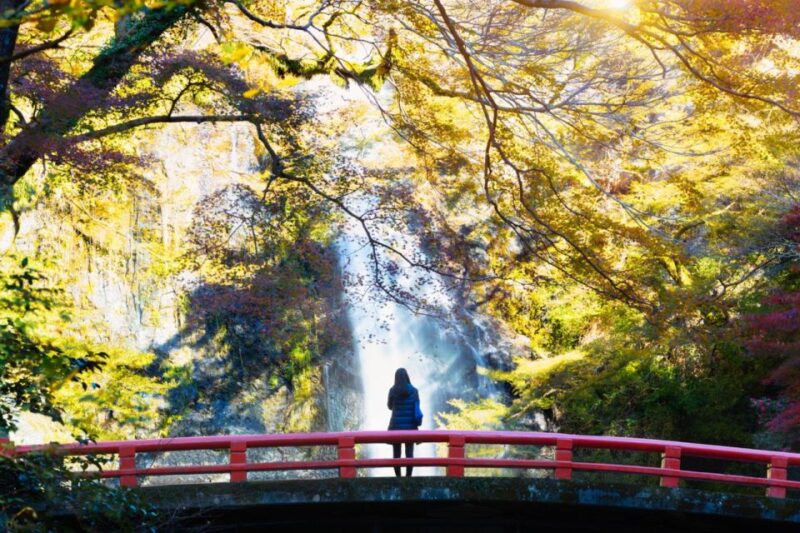 Minoo Park Adventure: Nature, Temples, and Coffee Bliss - Savoring Local Coffee at Yamamoto Coffee-kan
