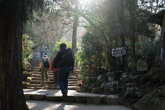Miyajima Island Tour With Certified Local Guide - Accessibility and Health Information