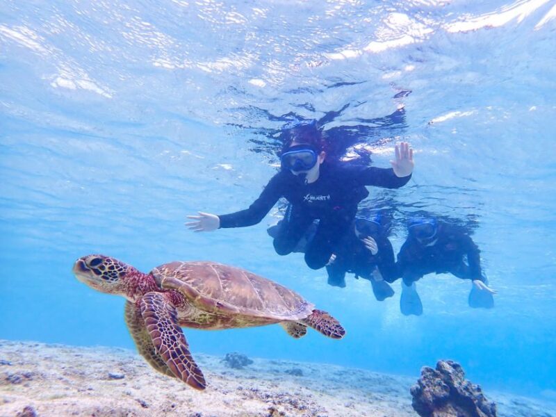 Miyako Island: Kayaking and Snorkeling Experience - Participant Eligibility and Restrictions