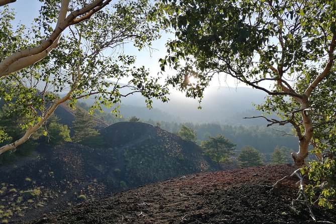 Mount Etna Tour at Sunset - Small Groups From Taormina - Traveler Reviews and Recommendations