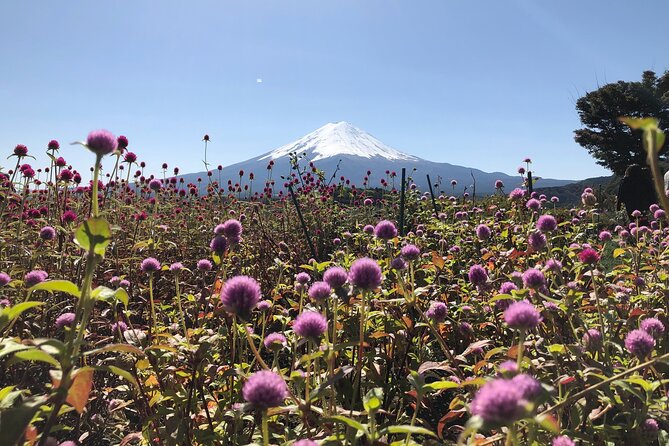 Mount Fuji Full Day Sightseeing Tour From Tokyo - Cultural Experiences