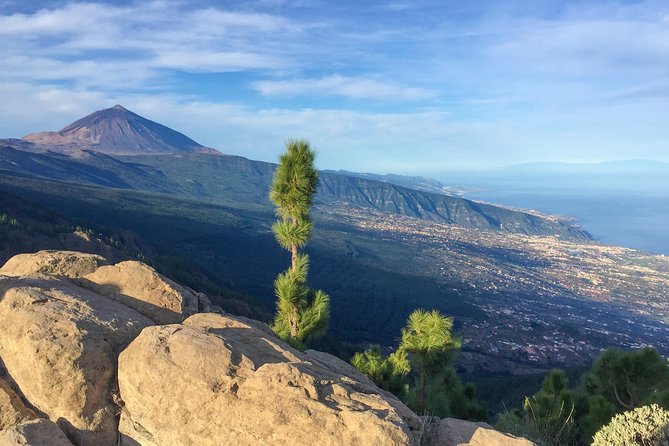 Mount Teide and Tenerife North With Food & Wine Tasting Private Tour - Discovering the Volcanic Landscapes