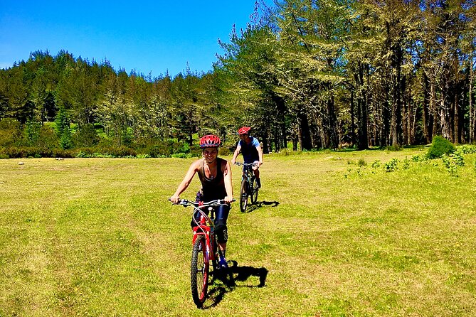 Mountain Biking Tour - Beginner Easy - Meeting and Pickup