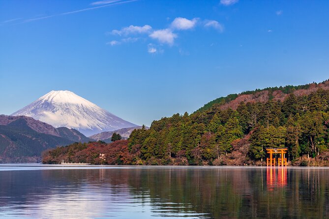 Mt. Fuji and Hakone Day Trip From Tokyo With Bullet Train Option - Meeting Points and Transportation