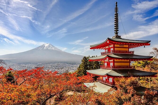 Mt Fuji and Hakone Private Day Tour With English Speaking Driver - Booking and Cancellation Policies