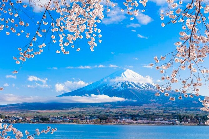 Mt. Fuji Area Tour Tokyo DEP: English Speaking Driver, No Guide - Accessibility