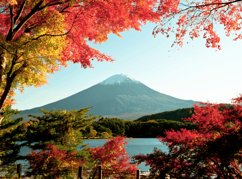 Mt. Fuji Day Trip in MERCEDES-BENZ (English Speaking Driver) - Chureito Pagoda