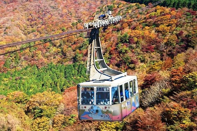 Mt Fuji & Hakone Cruise, Drum Show Bus 1 Day From Tokyo - Weather Considerations