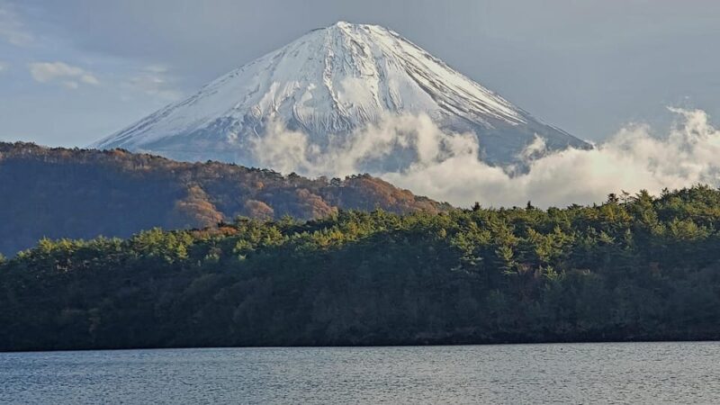 Mt Fuji & Hakone Tour Bullet Train Return GREEN NUMBER PLATE - Transportation Details