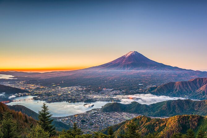 Mt. Fuji or Hakone Private Sightseeing Day Trip From Tokyo - Booking Information and Recommendations