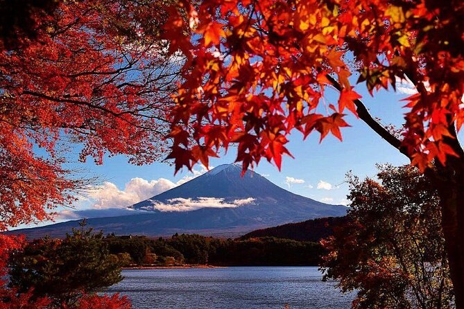 Mt Fuji, Panoramic Ropeway & Seasonal Fruits Picking - Panoramic Ropeway Ride
