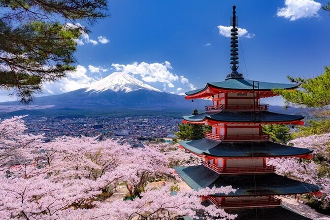 Mt. Fuji Private Tour From Tokyo With English Guide - Highlights of the Mt. Fuji Tour
