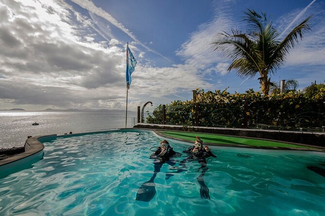 Museo Atlantico for Non-Certified Divers - Reviewing Traveler Experiences and Recommendations