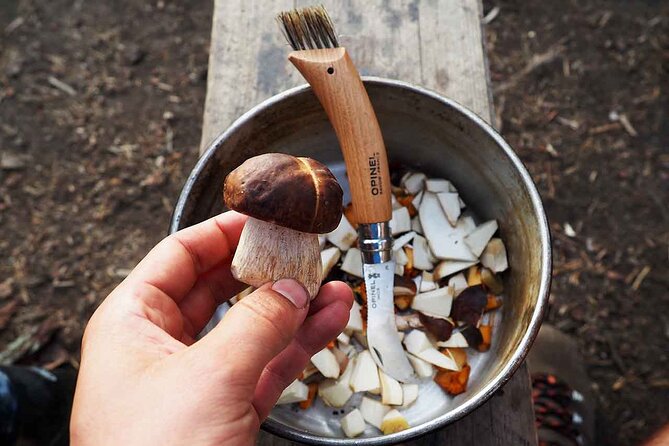 Mushroom Hunting in a National Park - Preparing a Finnish-Style Lunch