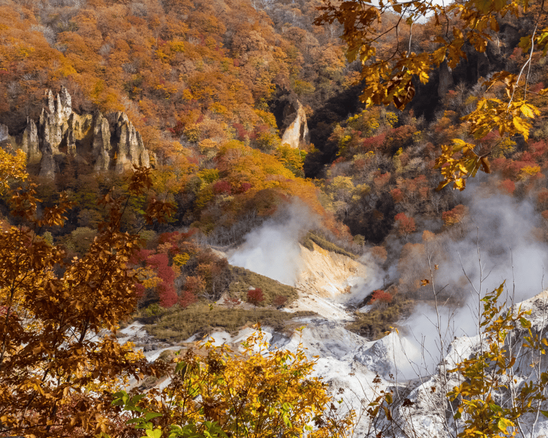 Nagano/Myoko: Snow Monkey & Hot Spring Retreat Private Tour - Lunch