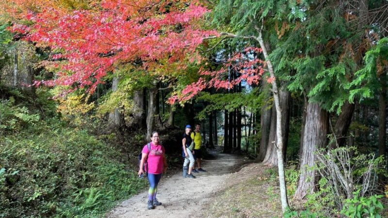 Nagoya: Full-day Kisoji Nakaendo Trail Tour - Whats Included