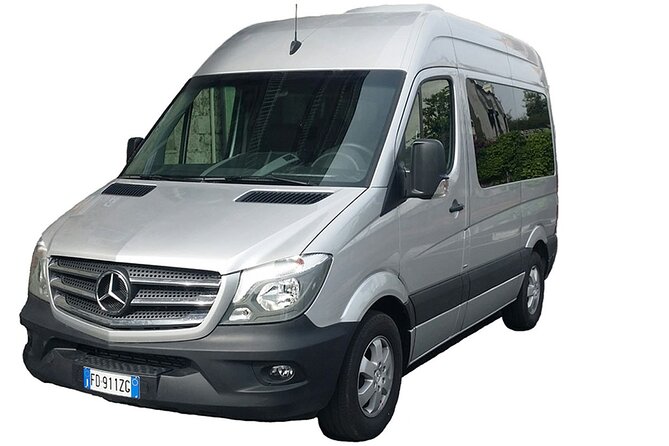 Naples Airport Private Departure Transfer - Luggage and Accessibility