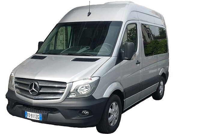Naples Railway Station Private Arrival Transfer - Accessibility Options for All Travelers