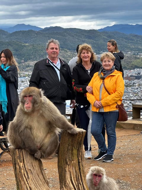 Nara and Kyoto Tour - Transportation and Fees