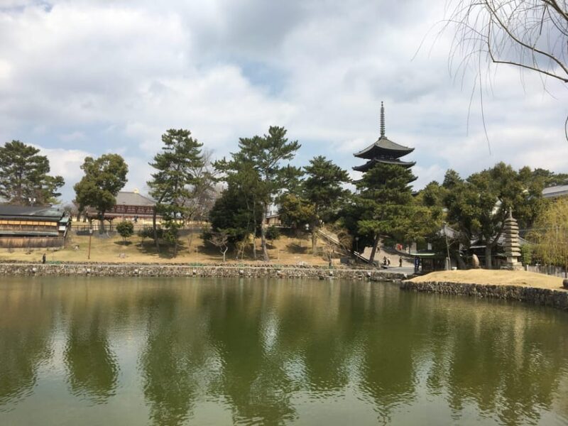 Nara: Full-Day Private Guided Tour - Participant Information