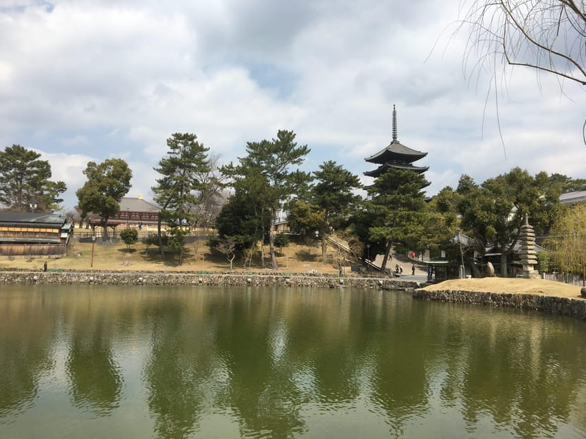 Nara: Full-Day Private Guided Tour - Discovering the Magical Kasuga-taisha Shrine