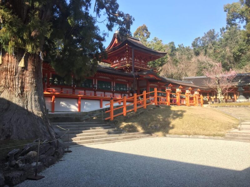 Nara: Half-Day Private Guided Tour - Inclusions and Fees