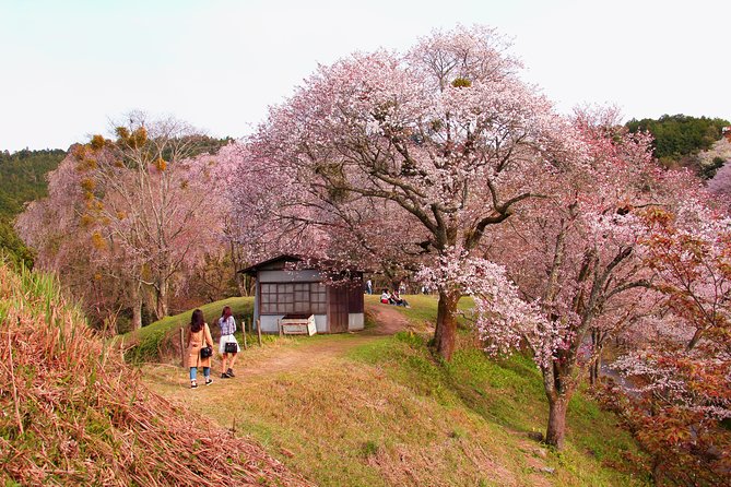 Nara Private Customizable Half Day Tour - Traveler Considerations and Requirements