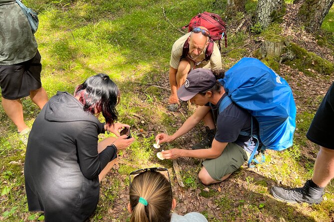 National Park Hike & Finnish Smoke Sauna Experience With Campfire Lunch - Transportation and Included Gear