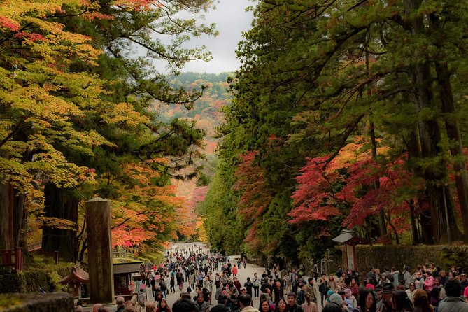 Nikko Private Customizable Full Day Tour - Preparation and Expectations