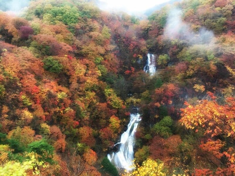 Nikkos Majestic Landscapes: Private Guided Tour - Transportation and Accessibility