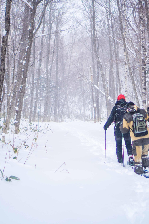 Noboribetsu: Snowshoe Trip to Ice Caves - Group Size and Language