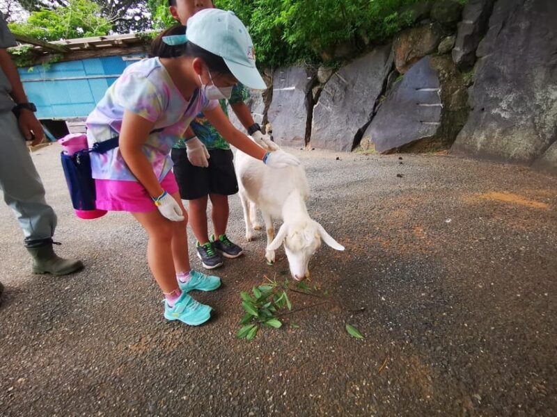 Nokonoshima Island Park: Garden Tour & Wagyu BBQ Lunch - What to Bring and Important Information